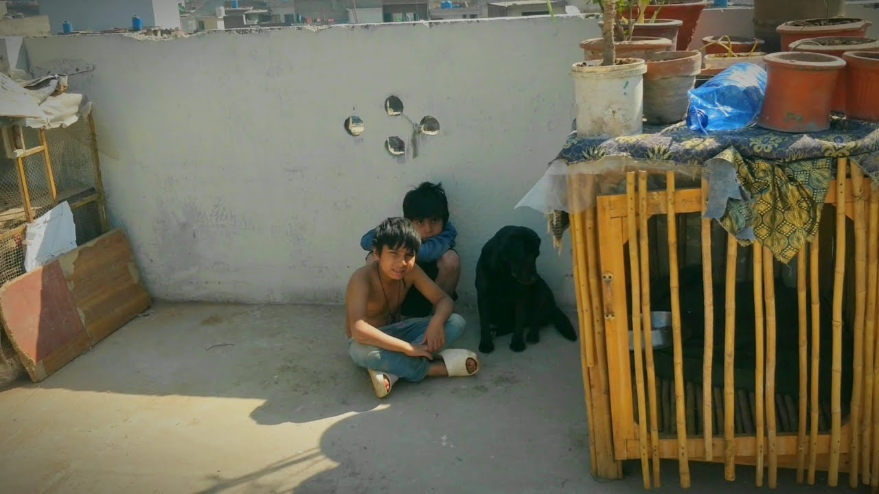 Chudhary is playing with Charlie | Daily Vlog | Lifestyle Vlog 💜 - YouTube