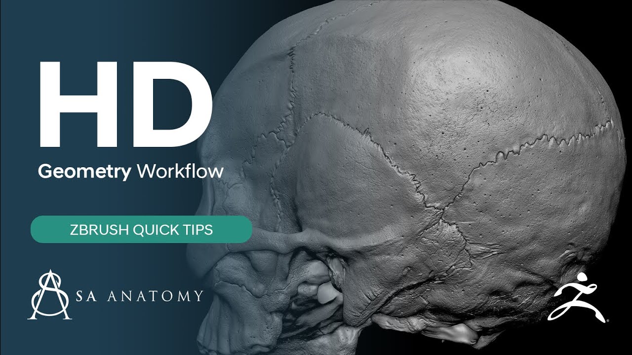 How We Use HD Geometry In ZBrush Workflow (Quick Tip 3) - YouTube