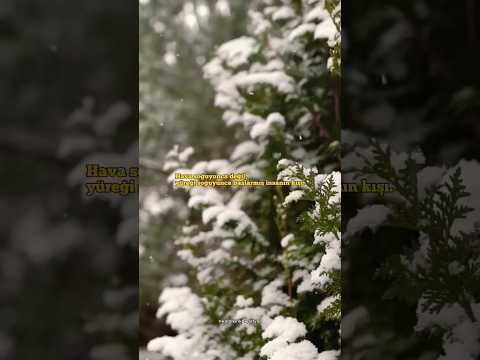 Hava soğuyunca değil, yüreği soğuyunca başlarmış insanın kışı.