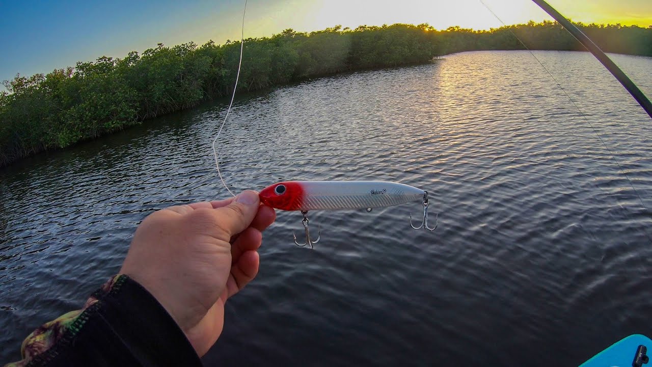 Secret Saltwater Pond Full of Giant Fish (Micro Skiff Fishing) - YouTube
