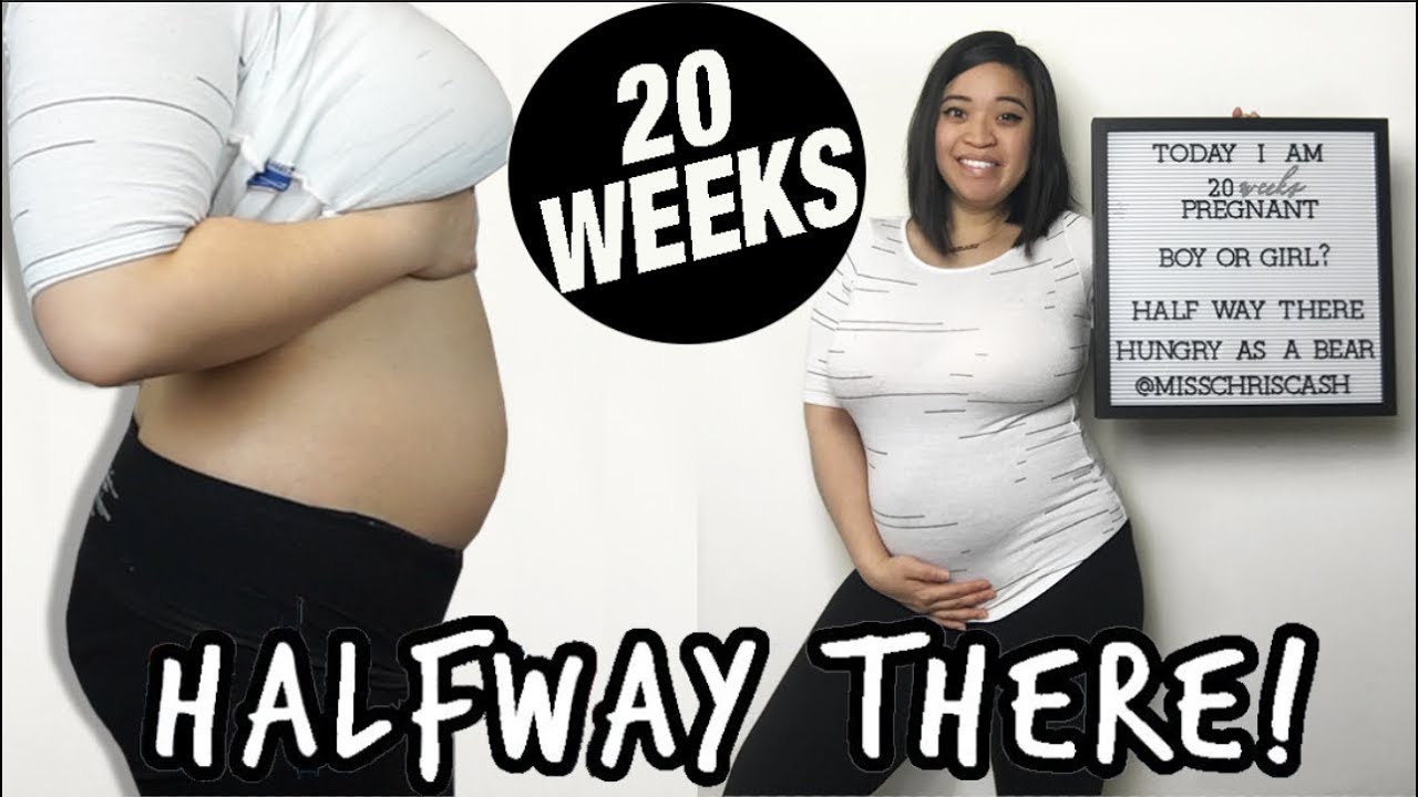 20 WEEKS PREGNANT | Pregnancy Update + Belly Bump - YouTube
