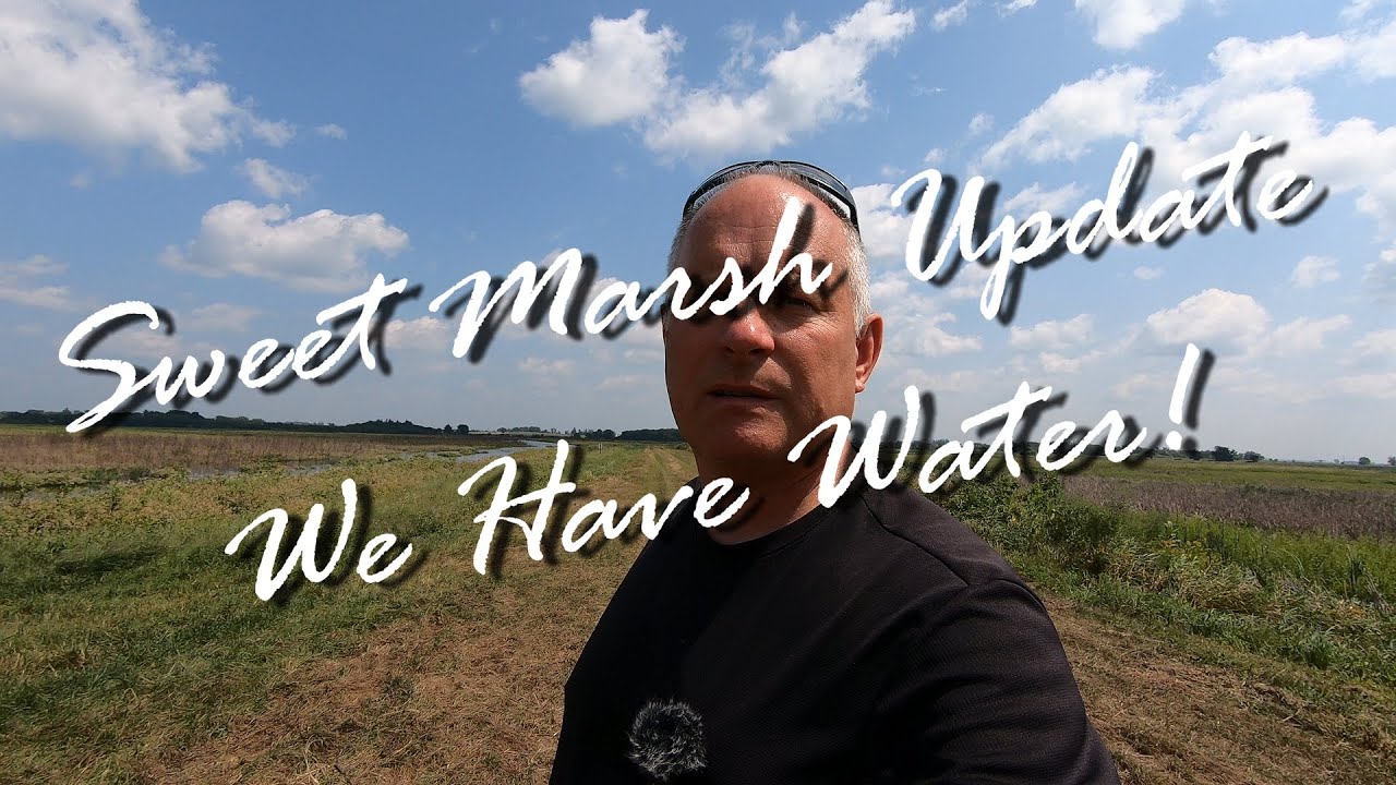 Sweet Marsh Update - We Have Water! - YouTube