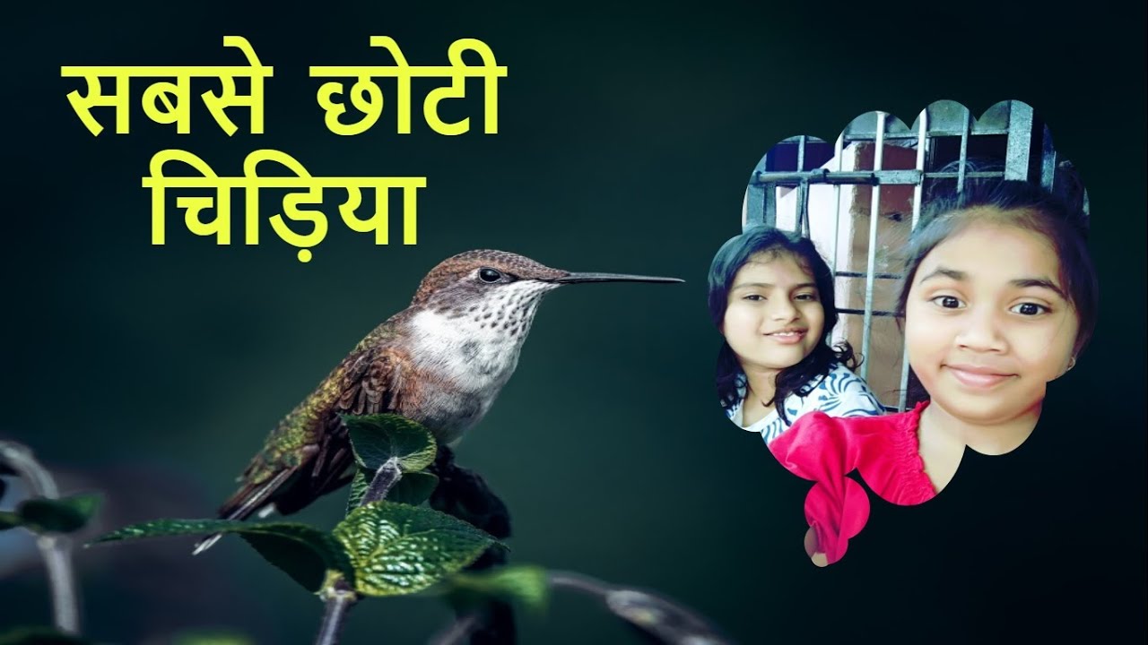 सबसे छोटी चिड़िया Sabse Chhoti Chidiya | Fun with Madhashree - YouTube