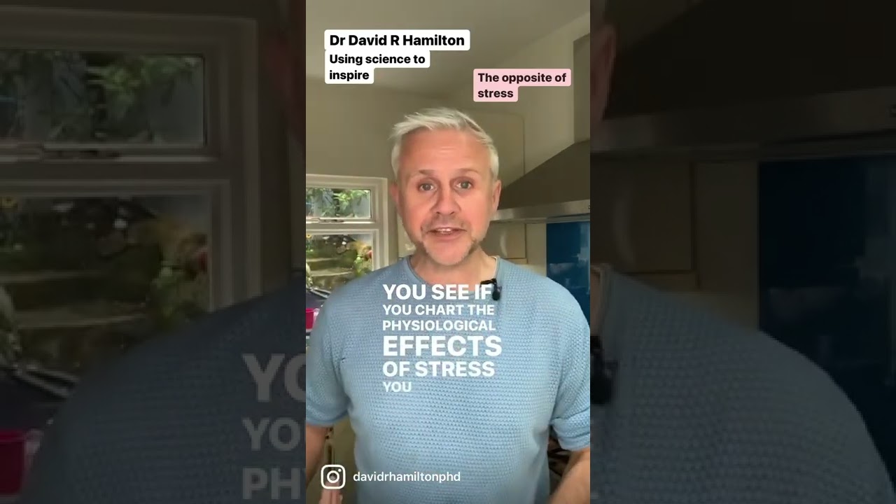 What is the opposite of stress? - YouTube