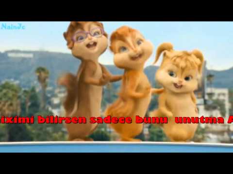 Alikin seni cox sevir eda sosuza dek de sevecek  ad gunun mubarek