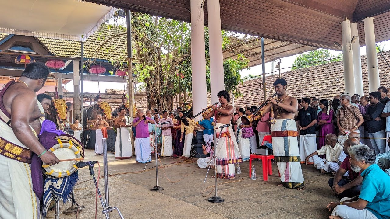 Sangeetha Njanamu - Dhanyasi - Thyagaraja Krithi : Yazhpanam PS ...
