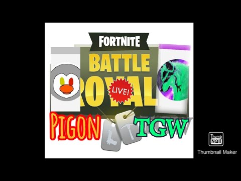 Fortnight Live Ft Pigon - YouTube
