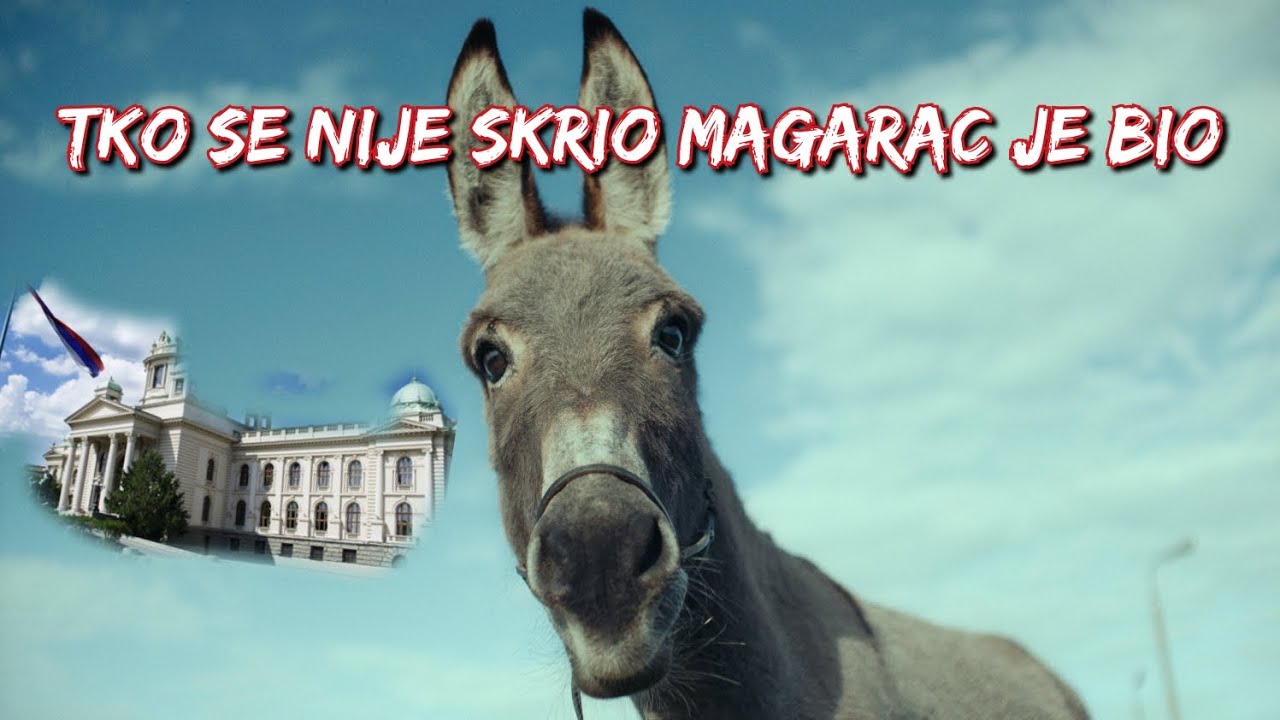 Tko se nije skrio magarac je bio!?#srbija #hrvatska #bosna #njemačka # ...