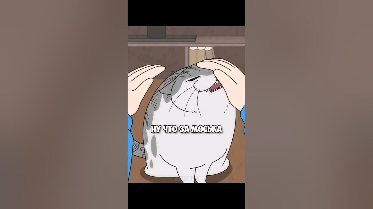 КОТИК ЛЮБИТ НЯШИТСЯ 😻 #аниме #анимемомент - YouTube