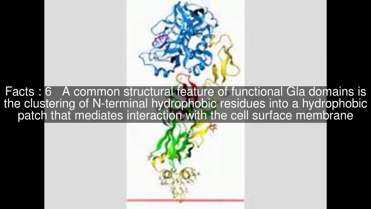 Gla domain Top #9 Facts - YouTube