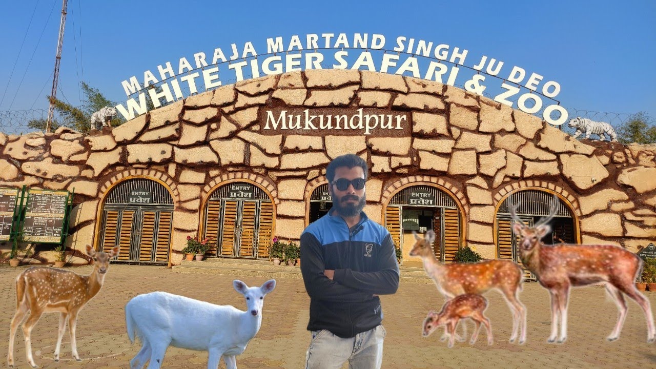 Mukundpur | Chital & White Deer Albino | Rewa - YouTube