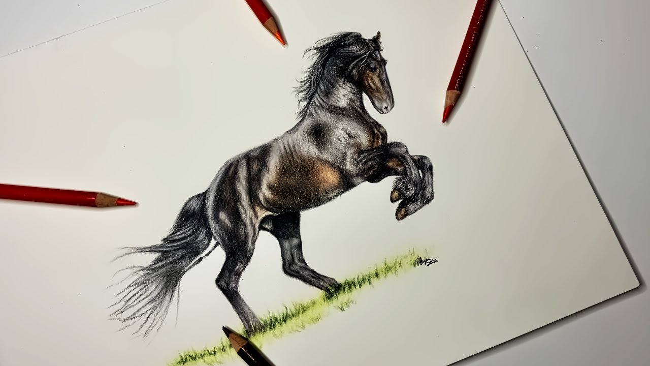 Friesian Horse "Phantom" Speed Drawing | Time Lapse | Coloured Pencils ...