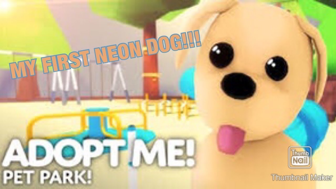 ROAD TO MEGA NEON DOG*EPISODE 1* - YouTube