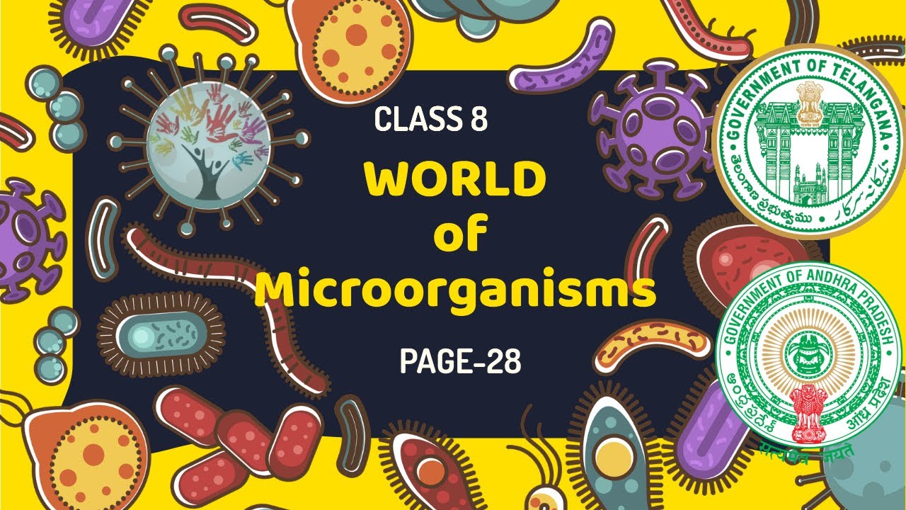 World of microorganisms | 8th class biology | page 28 | TS | AP | 2021 ...