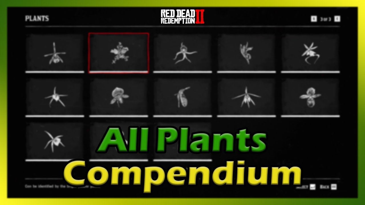 Red Dead Redemption 2 - All Plants Full Compendium 100% Complete Guide ...