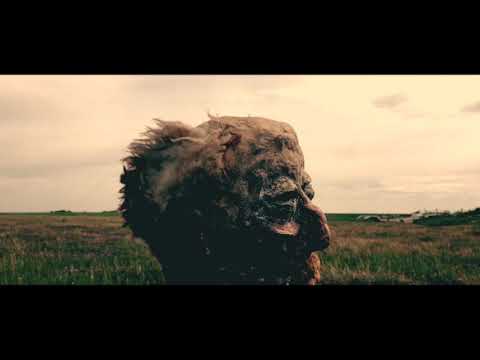 DUIR – Sodden Dogs & Blind, Winged Horses – 2 x CD (Album), 2019 ...