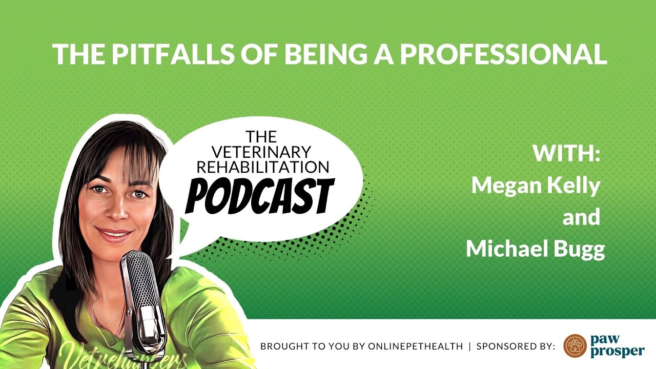 The Pitfalls of Being a Professional with Michael Bugg - YouTube