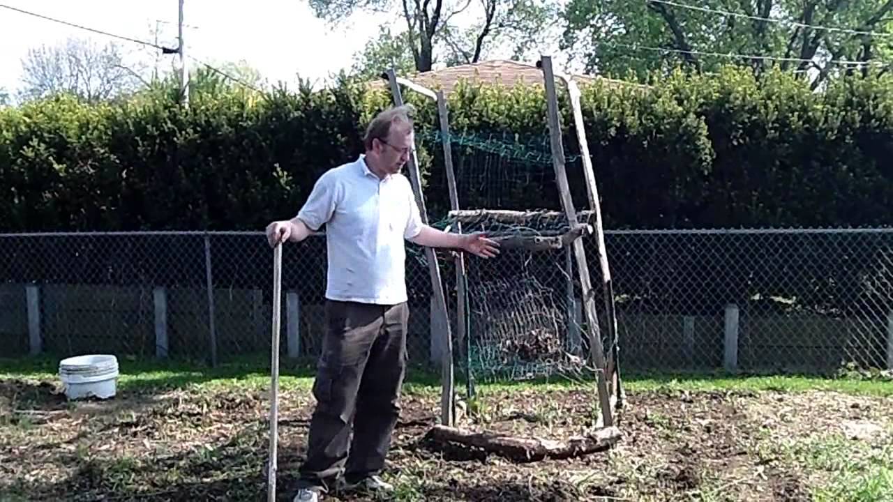 Planting Pole Beans & Caging Crazy Squash - The Wisconsin Vegetable ...