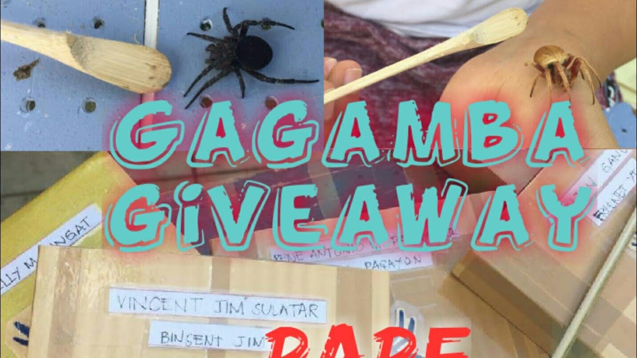 Gagamba,Samon,Masbate,Gabaldon,Tagalog By Gagamvino Ph - YouTube