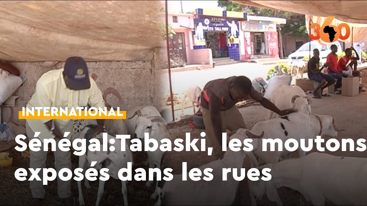 Sénégal: fête de Tabaski, les rues de Dakar transformées en points de ...