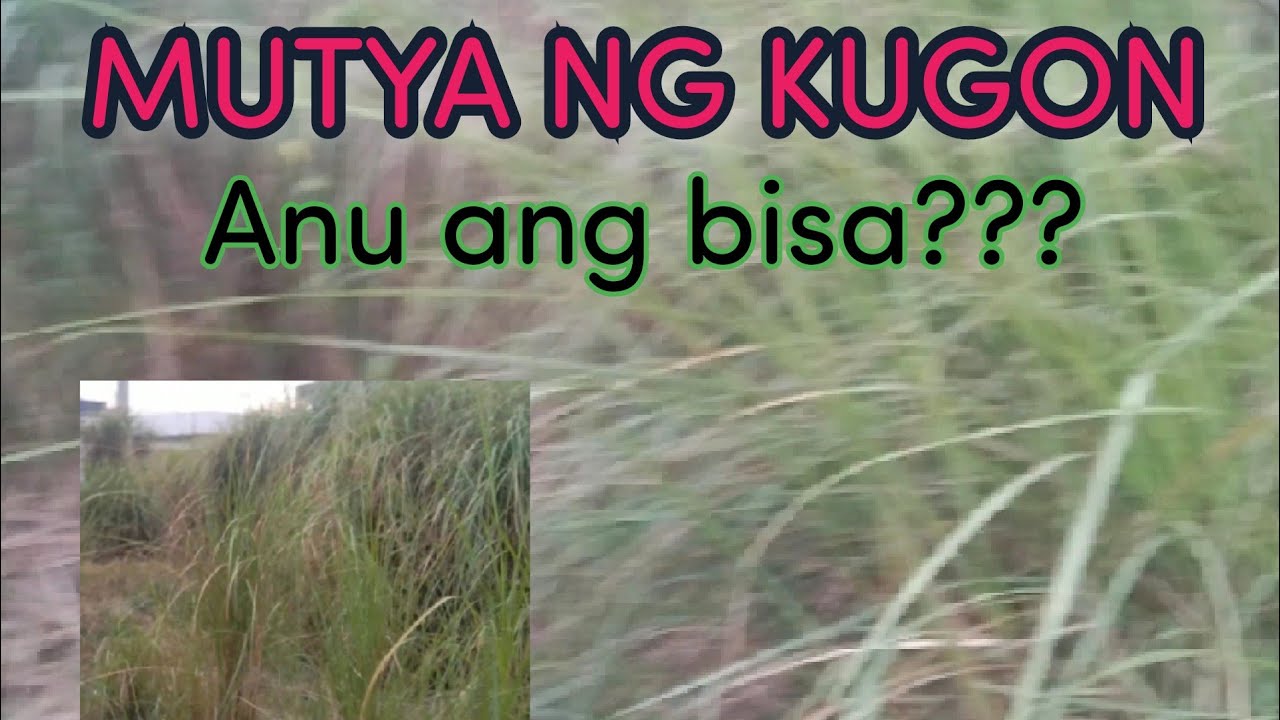 MUTYA NG KUGON #mutya #anting #agimat #lihimnakarunungan # ...