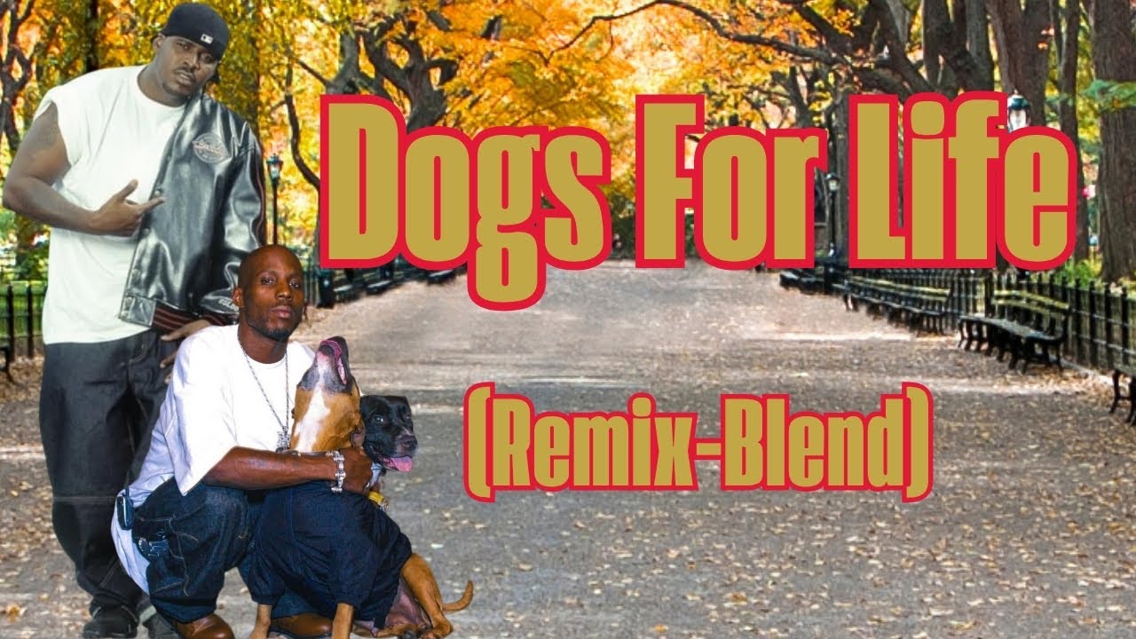 Dogs for Life (Remix-Blend) DMX & Sheek Louch - YouTube