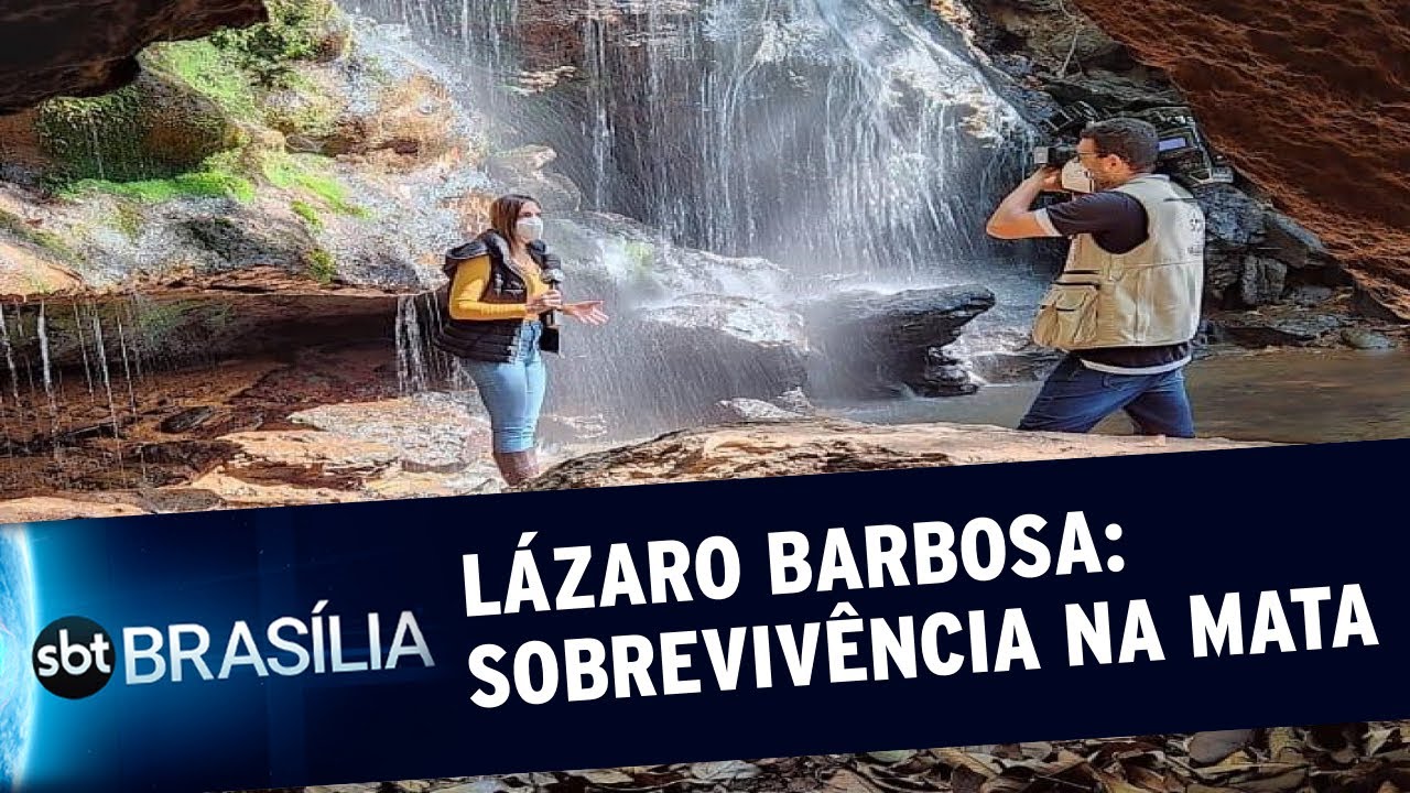 Como sobreviver em região de mata fechada | SBT Brasília 24/06/2021 ...