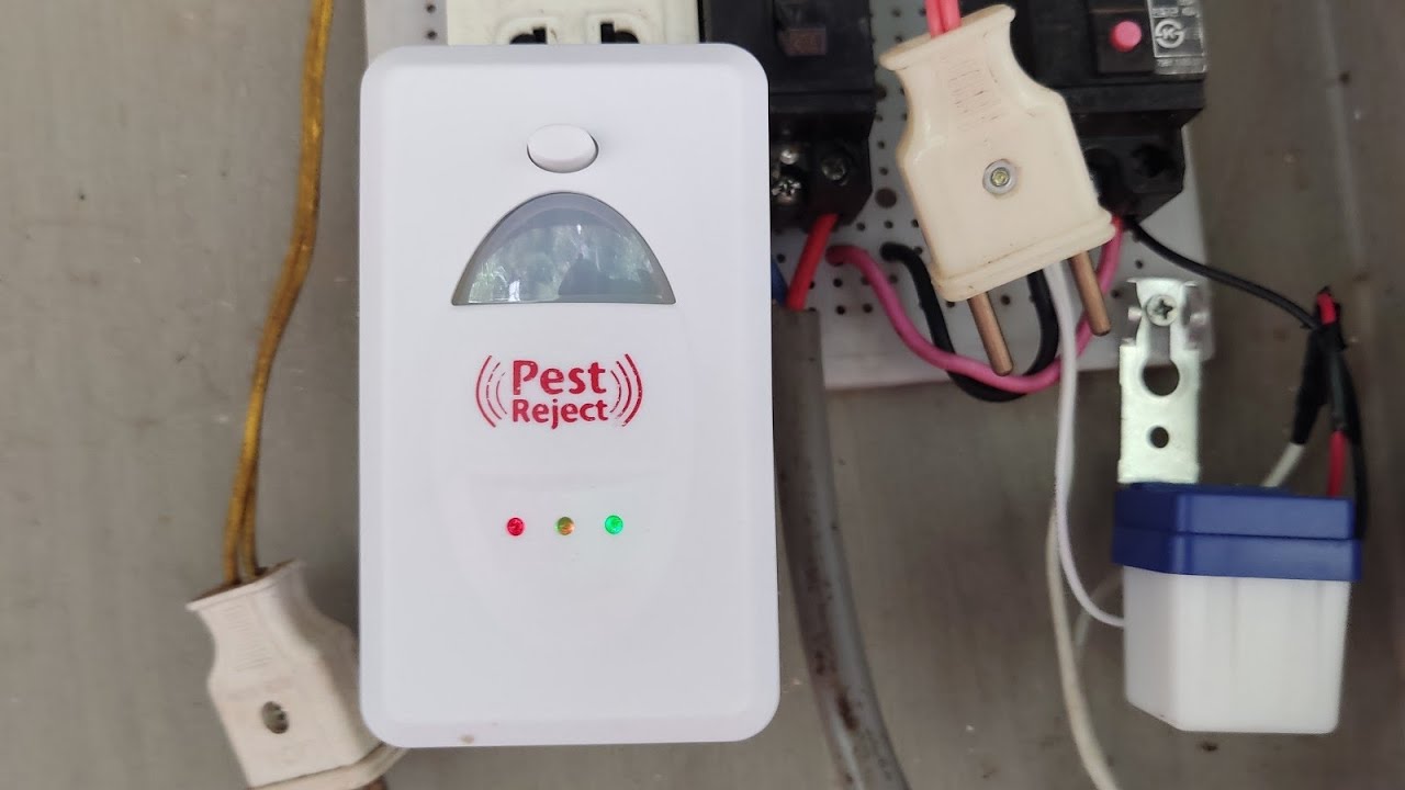 Đánh giá sau 10 ngày sử dụng máy đuổi chuột đuổi muỗi Pest Reject. - YouTube