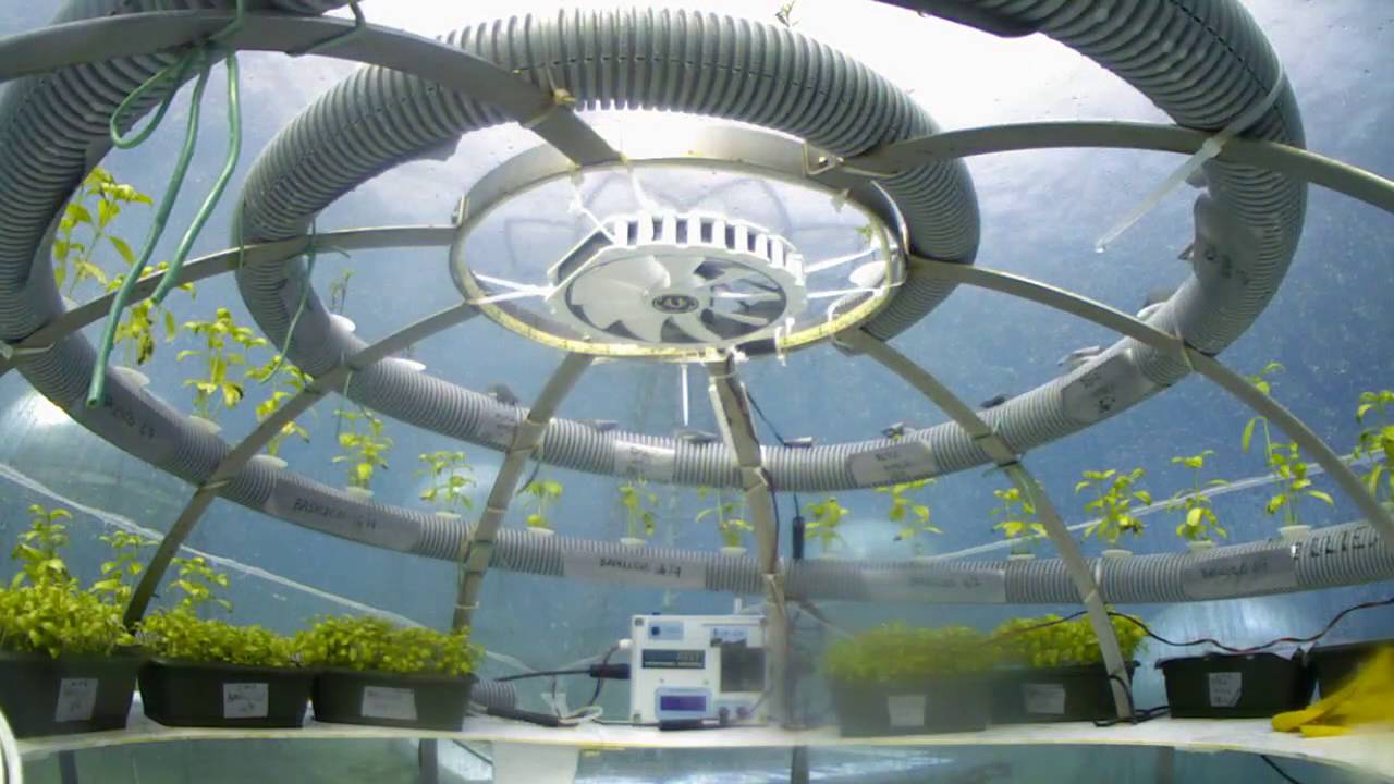 Nemo's Garden Time lapse biosphere 4 2016 - YouTube