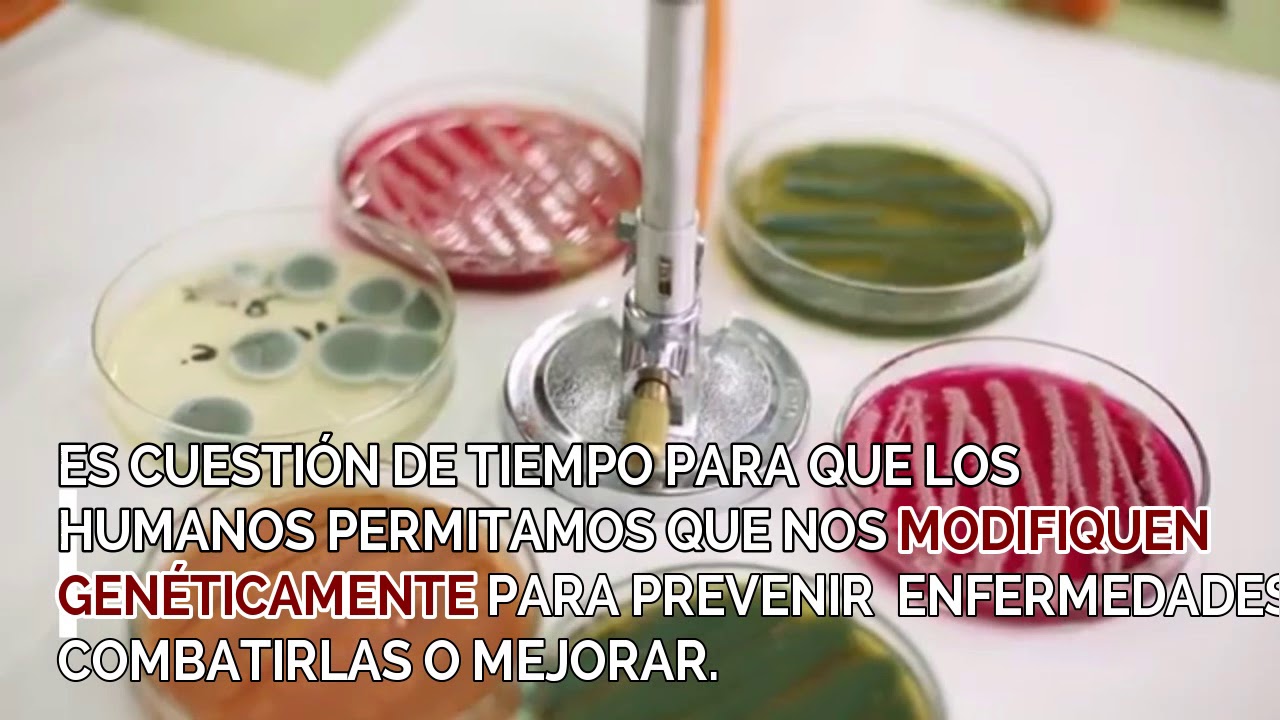 hibridos humanos y animales - YouTube