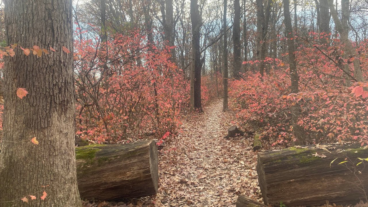 Day 17 - Gansett Girl Hikes the Appalachian Trail - 2024 / 2025 Thru ...