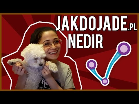 Polonya'da Yaşam: \