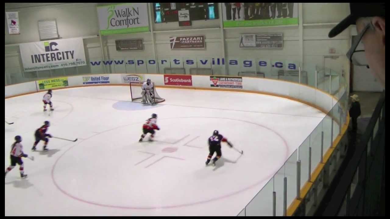 Flames VS Panthers 2-21-12.mov - YouTube