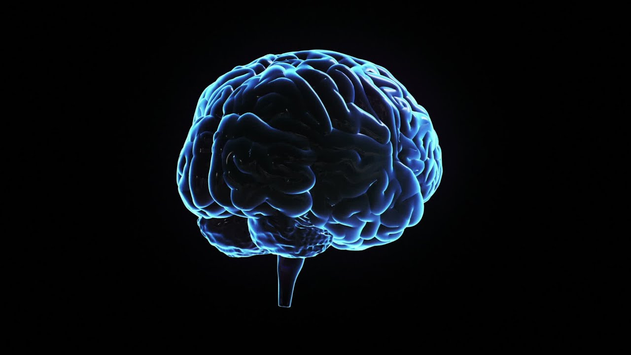 Memory - Skill and Ability Video - YouTube