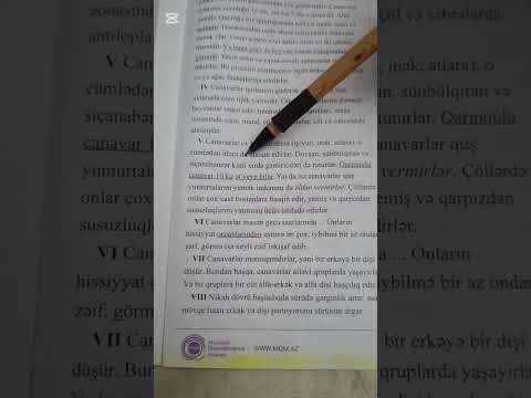 22 Fevral .Otk VI sinif Monitorinq suallarının izahı 