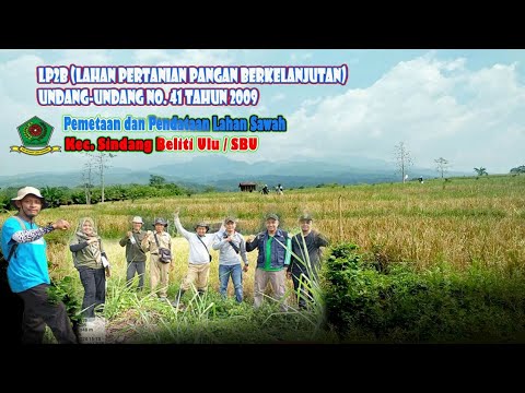 Pemetaan Lahan Sawah LP2B Kec. Sindang Beliti Ulu / SBU - YouTube