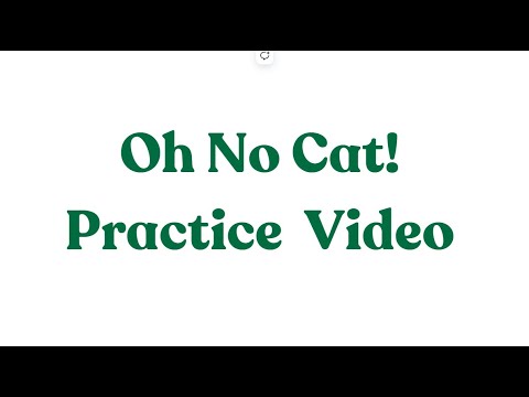 Oh No Cat! Practice Video - YouTube