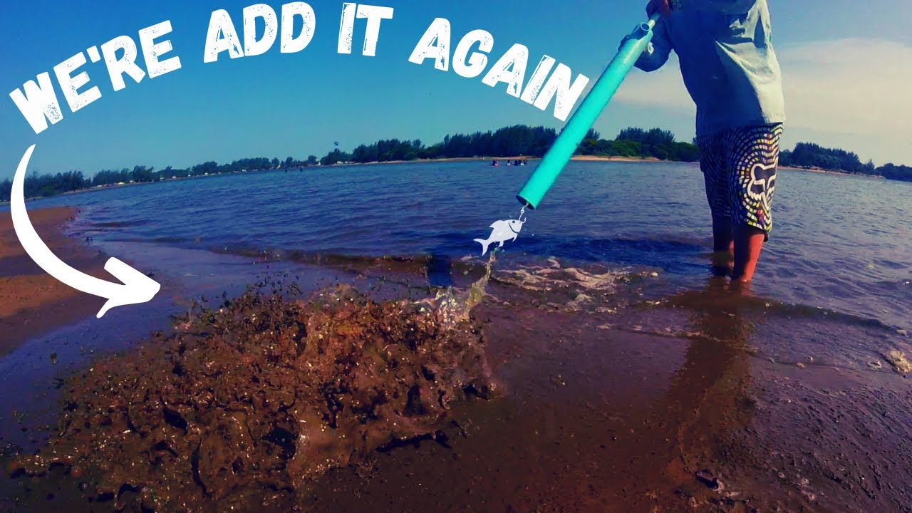 Fishing a canal with sand prawn - YouTube