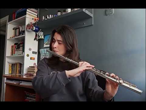 Sezen Aksu - Ah İstanbul Yan Flüt Cover | Flute | Flüt @tuanayayginflute #flutist #flute #yanflüt