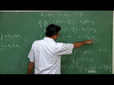 Two species model - Lotka-Volterra type