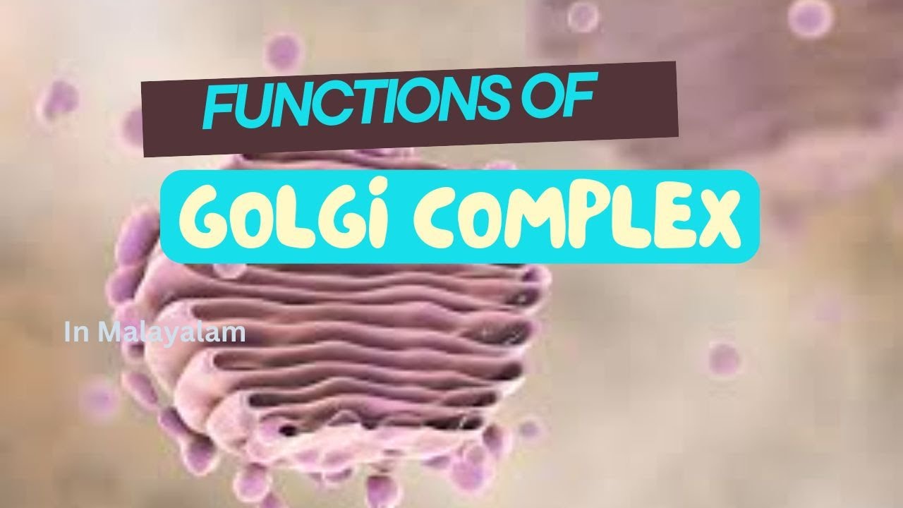 Functions of Golgi Complex | BSc Zoo | SEM 5 | Dr. Rani.S.Dharan - YouTube