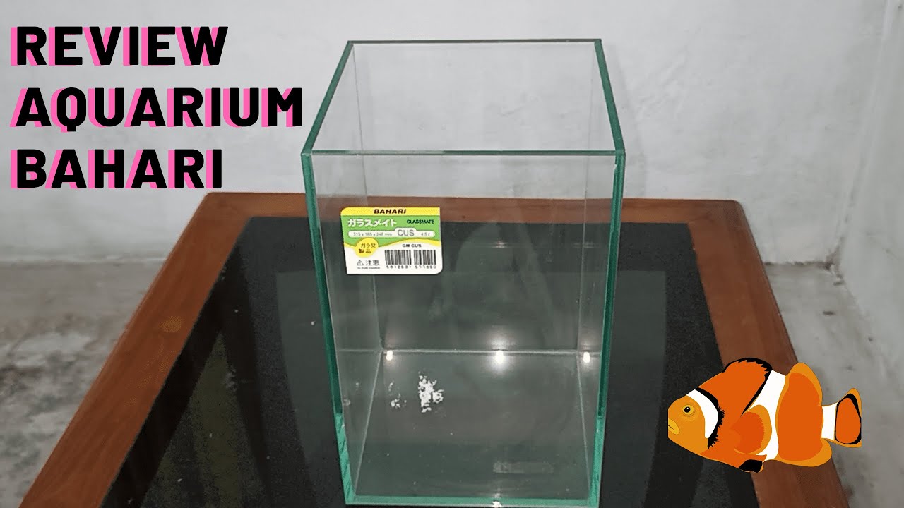 REVIEW AQUARIUM BAHARI - YouTube
