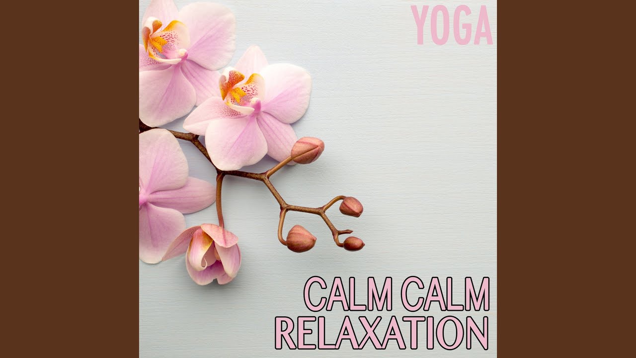 Zen Meditation Morning - YouTube