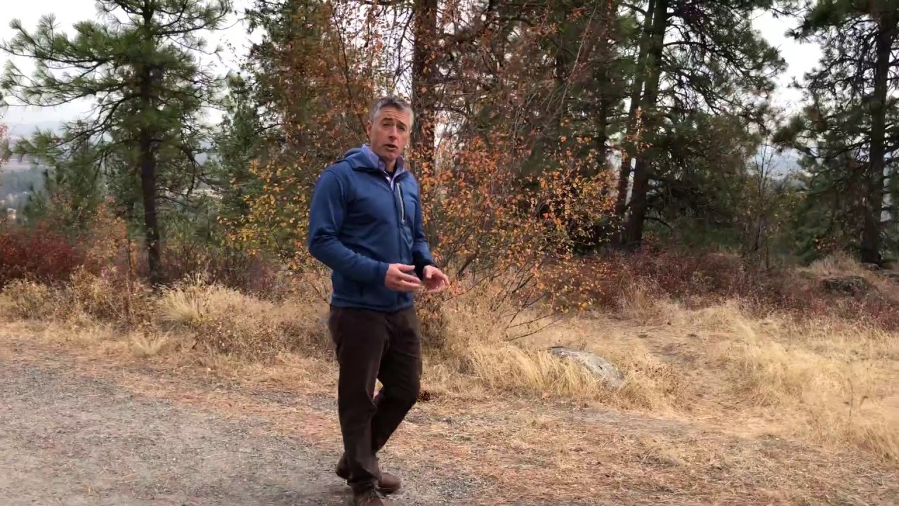 Dave Schaub R2R 2018 10 05 - YouTube