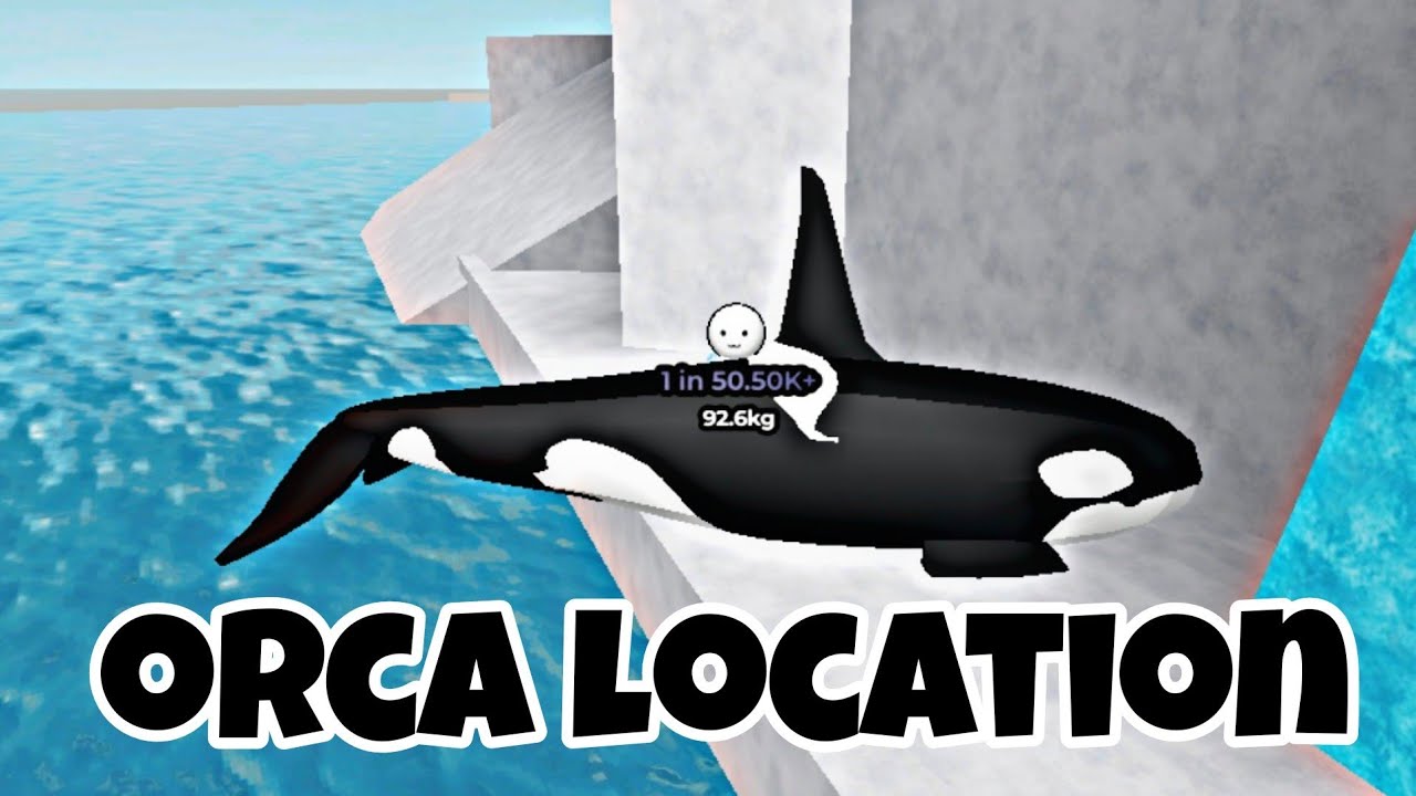 [LOCATION] Where to Find Orca in Go Fishing Roblox | orca - YouTube