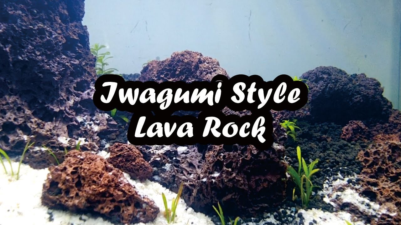 Aquascape Iwagumi Style With Lava Rock - YouTube