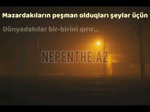 Peşman olacaqsan • Nepenthe.az