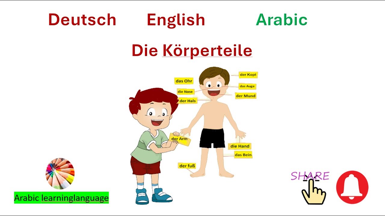 Der Körperteile@ Parts of the body@Deutsch @Arabisch @ English ...