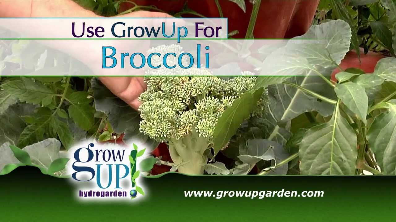 GrowUp Hydrogarden - YouTube