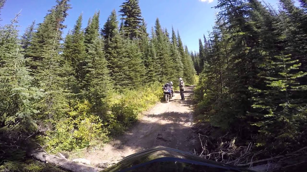 Loose Screw 2015 - YouTube